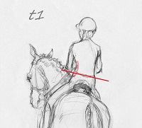 Equine Soundness Foundation - Rider asymmetry, horse spinal rotation